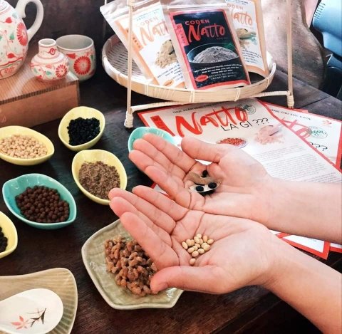 BÍ QUYẾT CHĂM SÓC SỨC KHỎE MÙA ĐÔNG CỦA NATTO CODEN - Natto